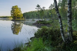 The Secret Swedish Islands Where You Can Sleep in a Glass Cabin Under ...